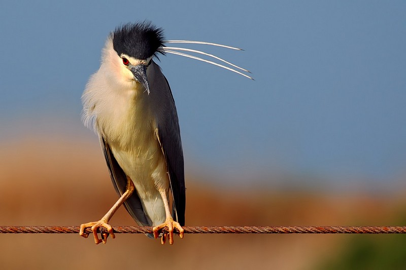 NIKON D200 Pictures | NIKON D200 Photos | NIKON D200 Photo Gallery | Page 1